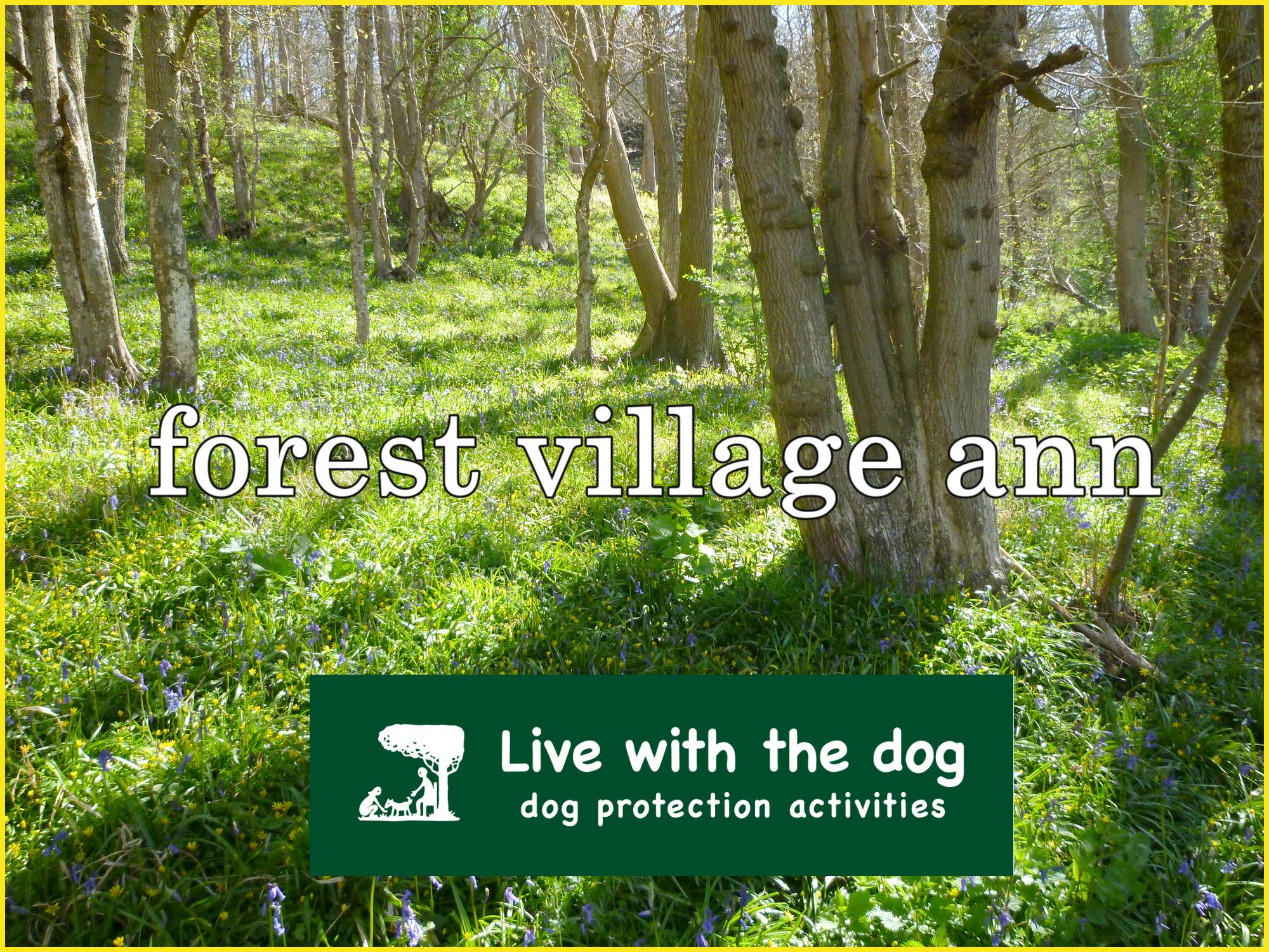 犬と泊まる宿｜forest village ann